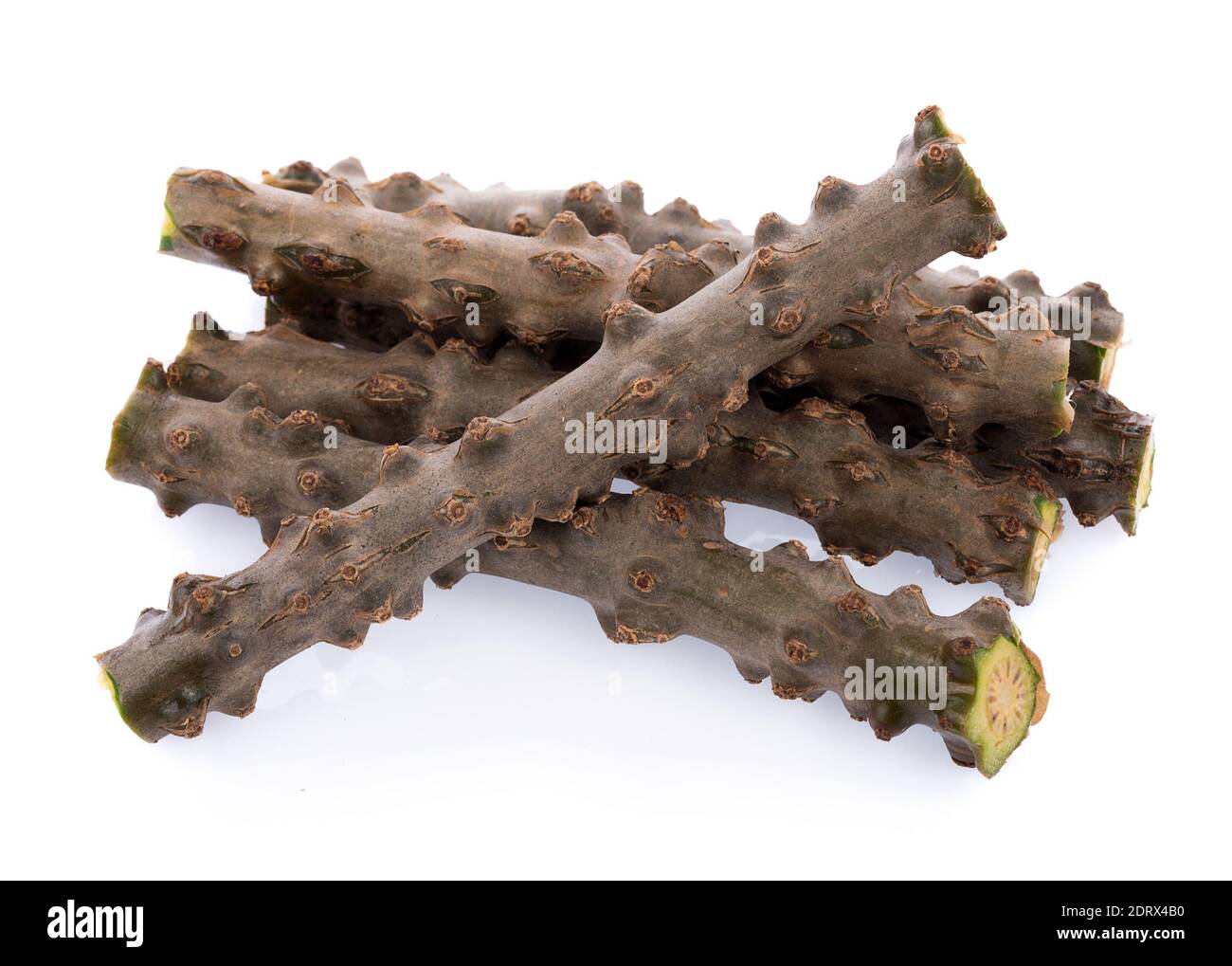 Tinospora cardifolia hi-res stock photography and images - Alamy