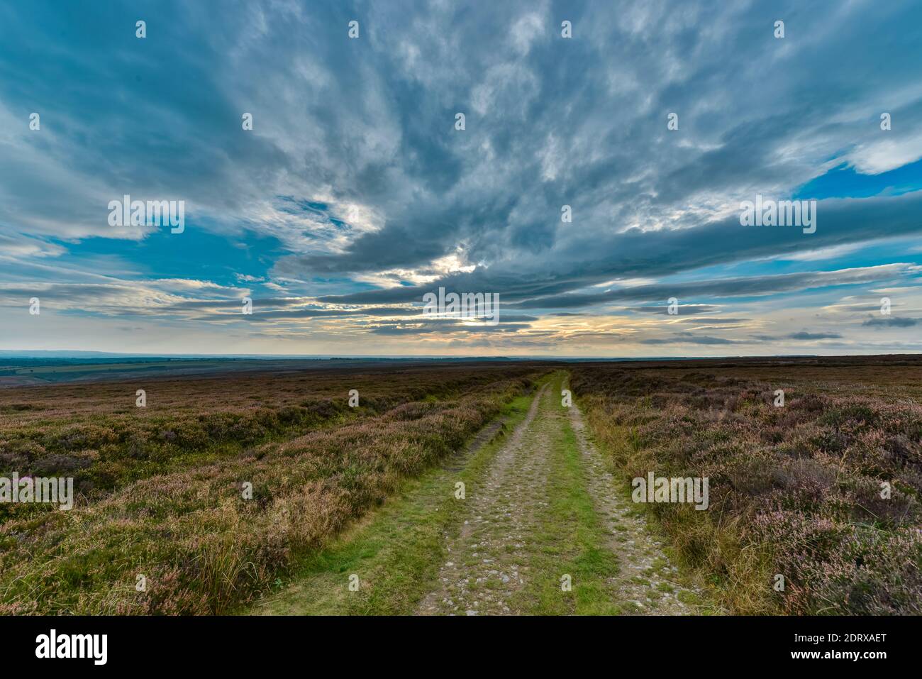 Plateau of the moors hi-res stock photography and images - Alamy