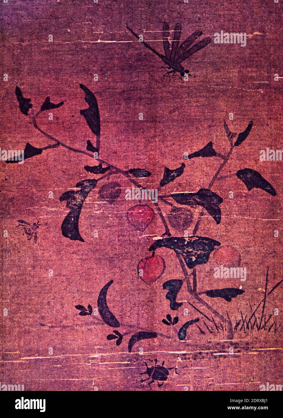 Oriental painting, Joseon Dynasty, Shinsaimdang, Chochungdo, MADAM SIN ...