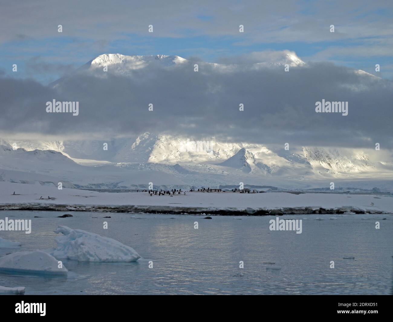Port Lockroy scenery, Antarctica Stock Photo - Alamy