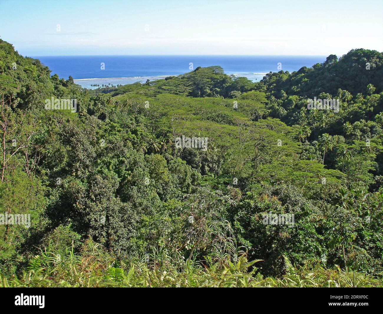 Rarotonga Cookeilanden, Rarotonga Cook Islands Stock Photo - Alamy