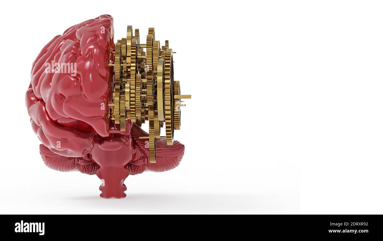 Head Brain Gears Concept Symbol High Resolution Stock Photography and ...