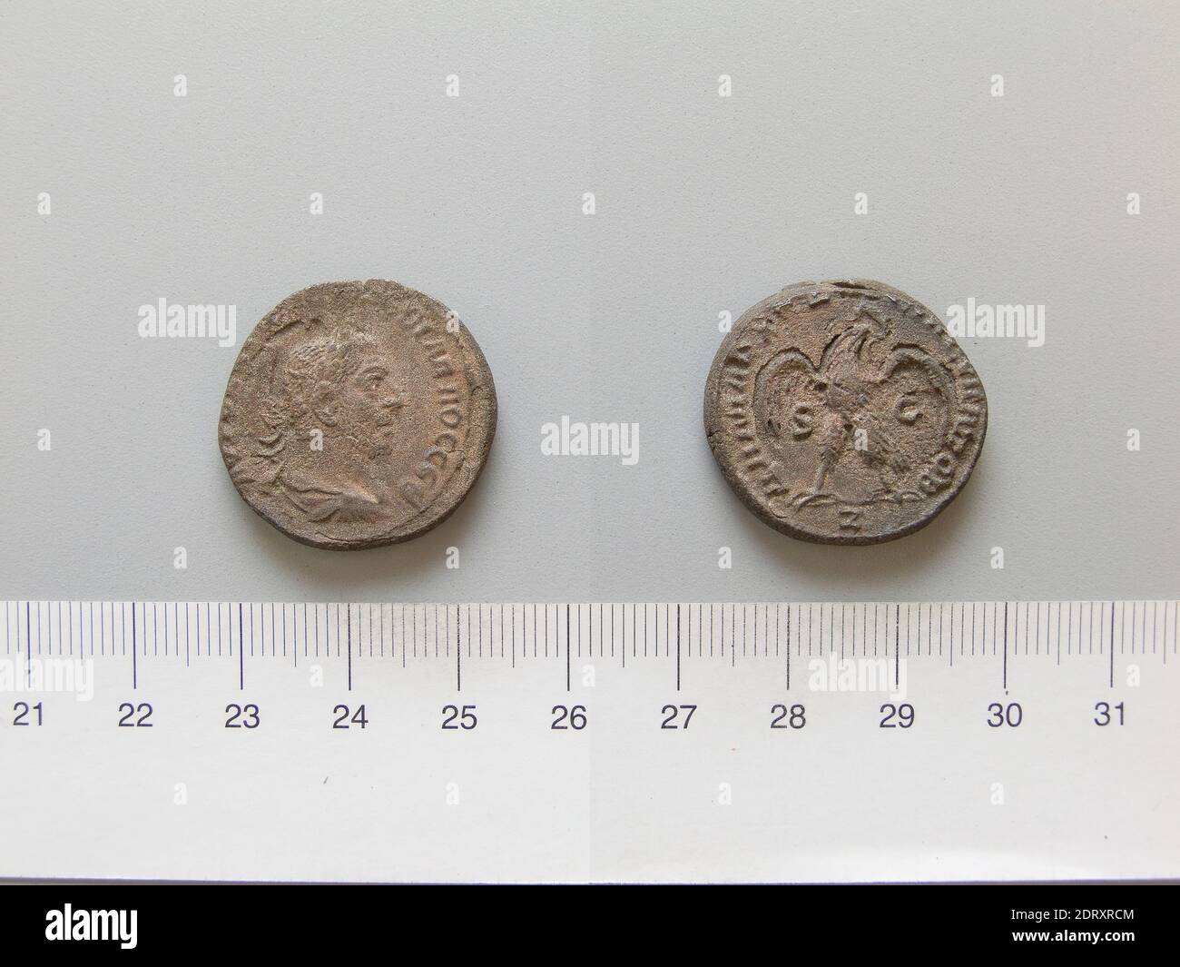 Roman ruler gallus hi-res stock photography and images - Alamy