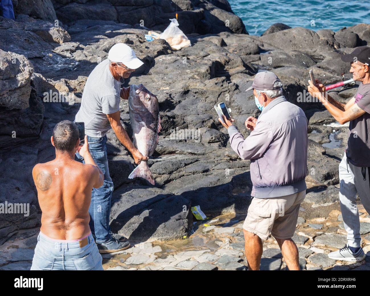 Sea bream canary islands hi-res stock photography and images - Alamy