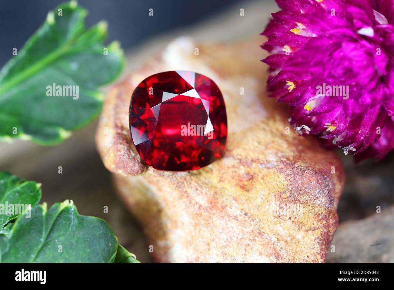 Chanthaburi gem hi-res stock photography and images - Alamy