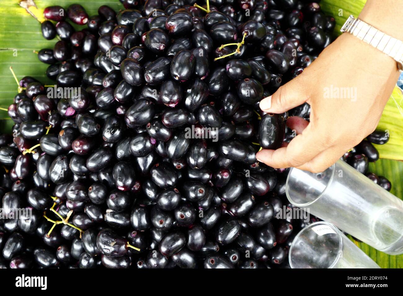 Duhat hi-res stock photography and images - Alamy