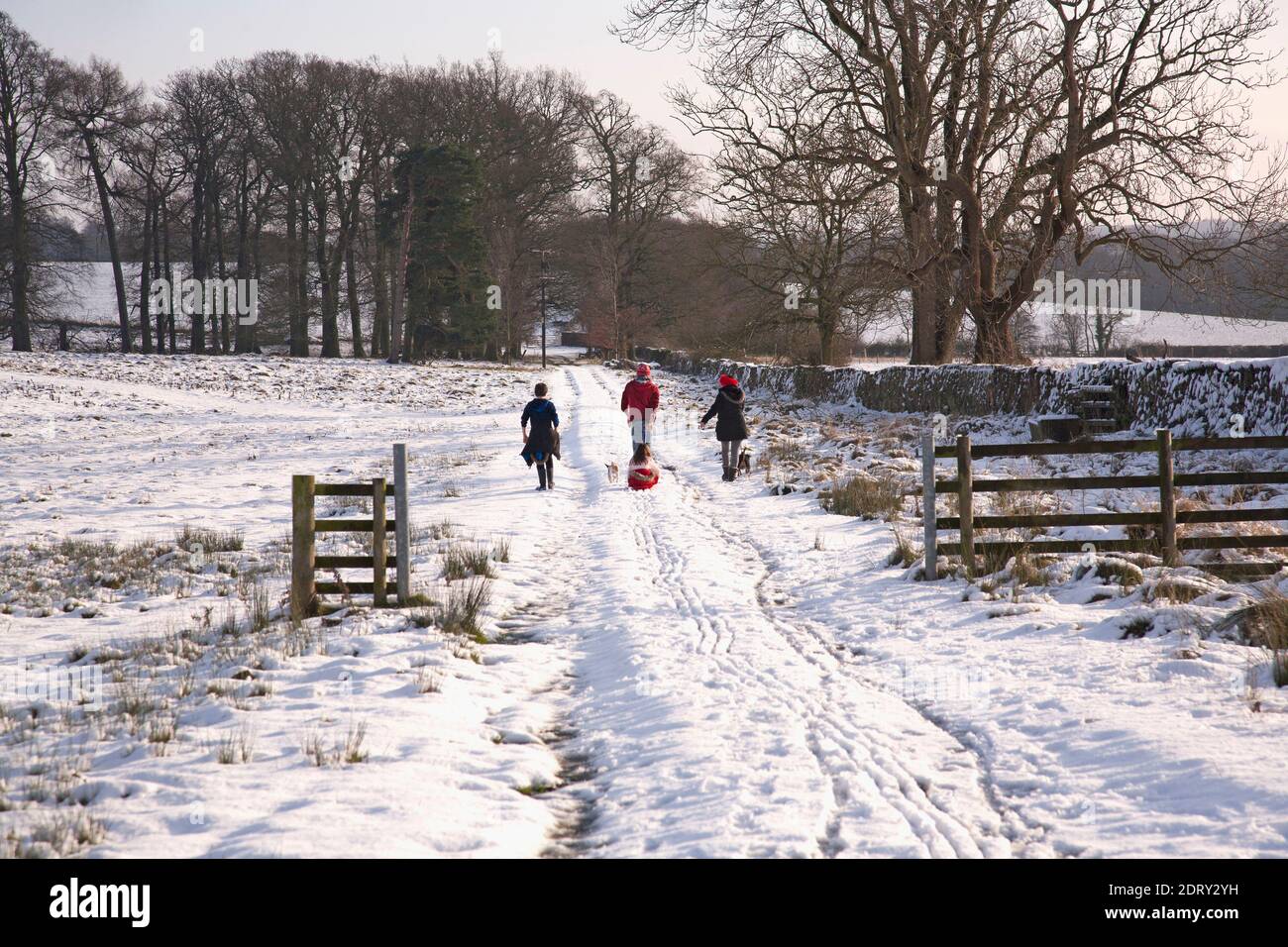 Family walking down a country lane in the snow Stock Photo - Alamy