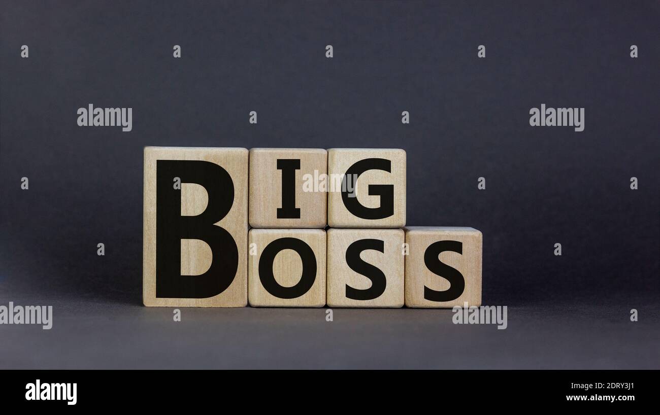 Big boss symbol. Wooden cubes with words 'big boss'. Business and big ...
