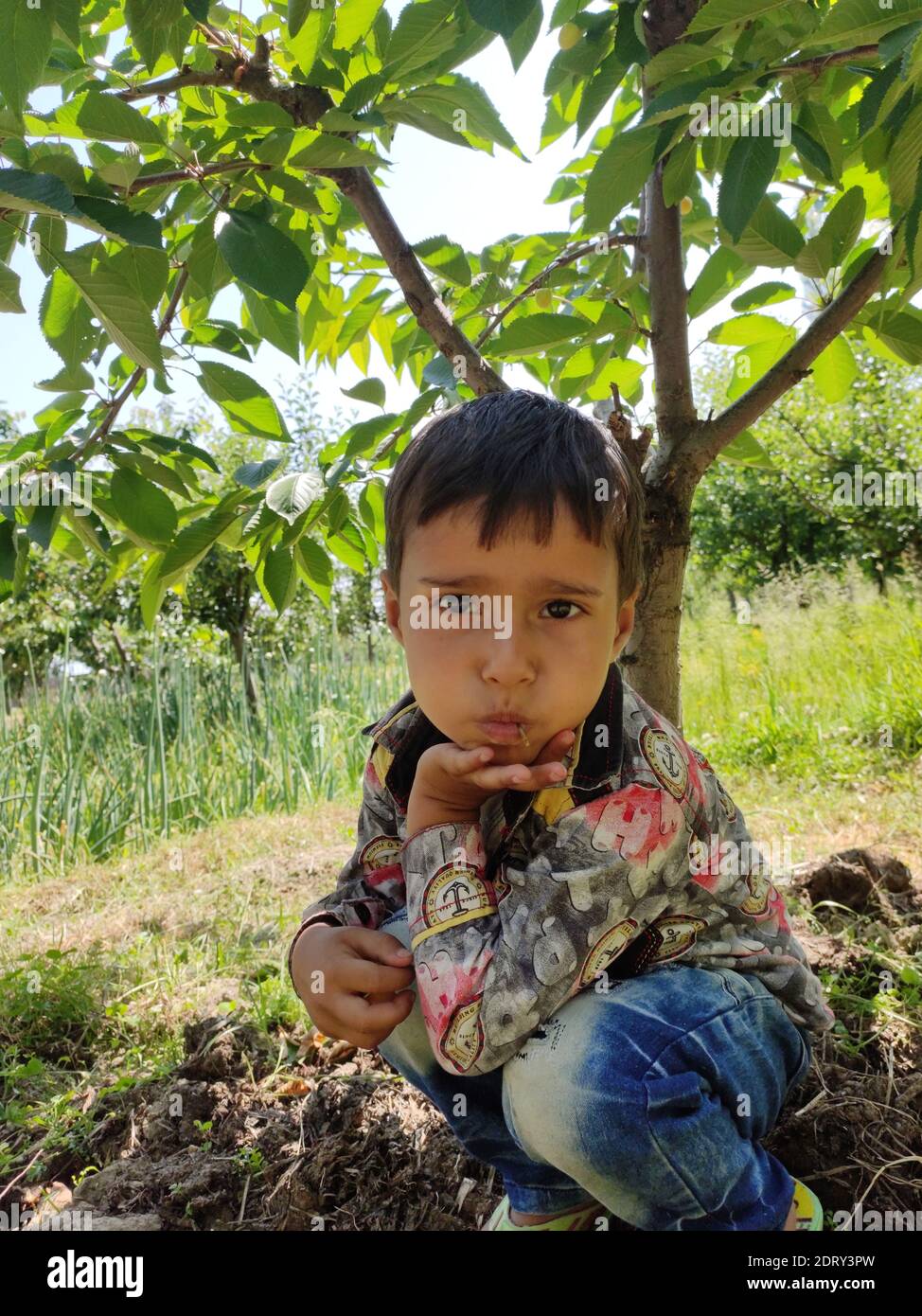Boy with apple under tree hi-res stock photography and images - Alamy