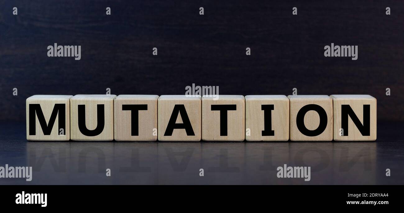 Mutation symbol. Wooden cubes with word 'mutation'. Male hand ...