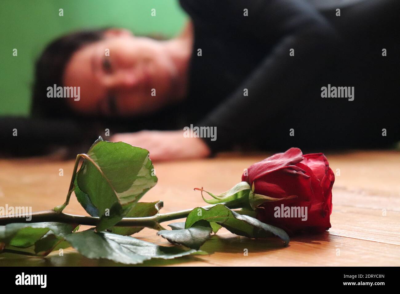 Single rose lying down hi-res stock photography and images - Alamy
