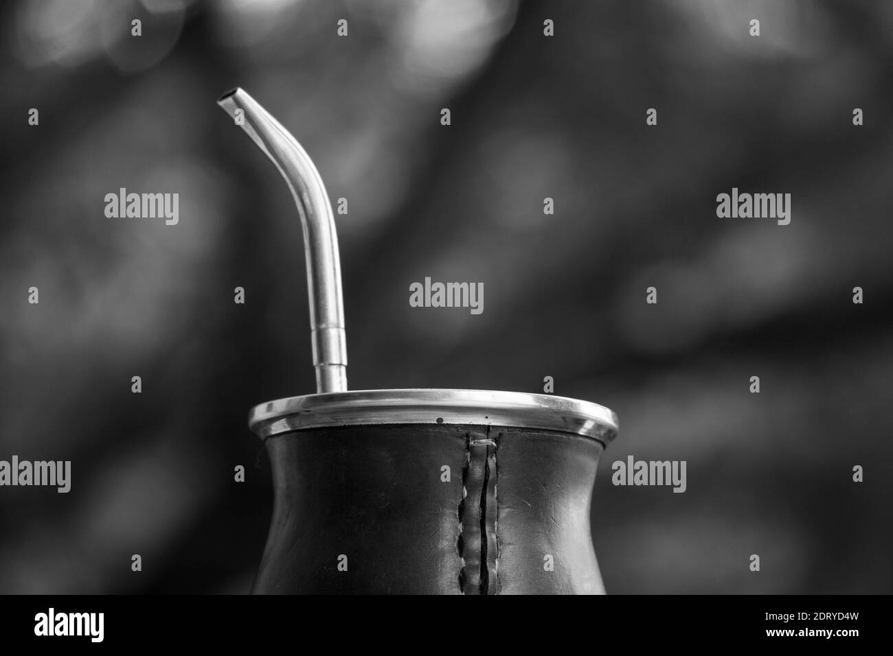 Selective focus shot of a calabash mate cup with straw - yerba mate tea ...