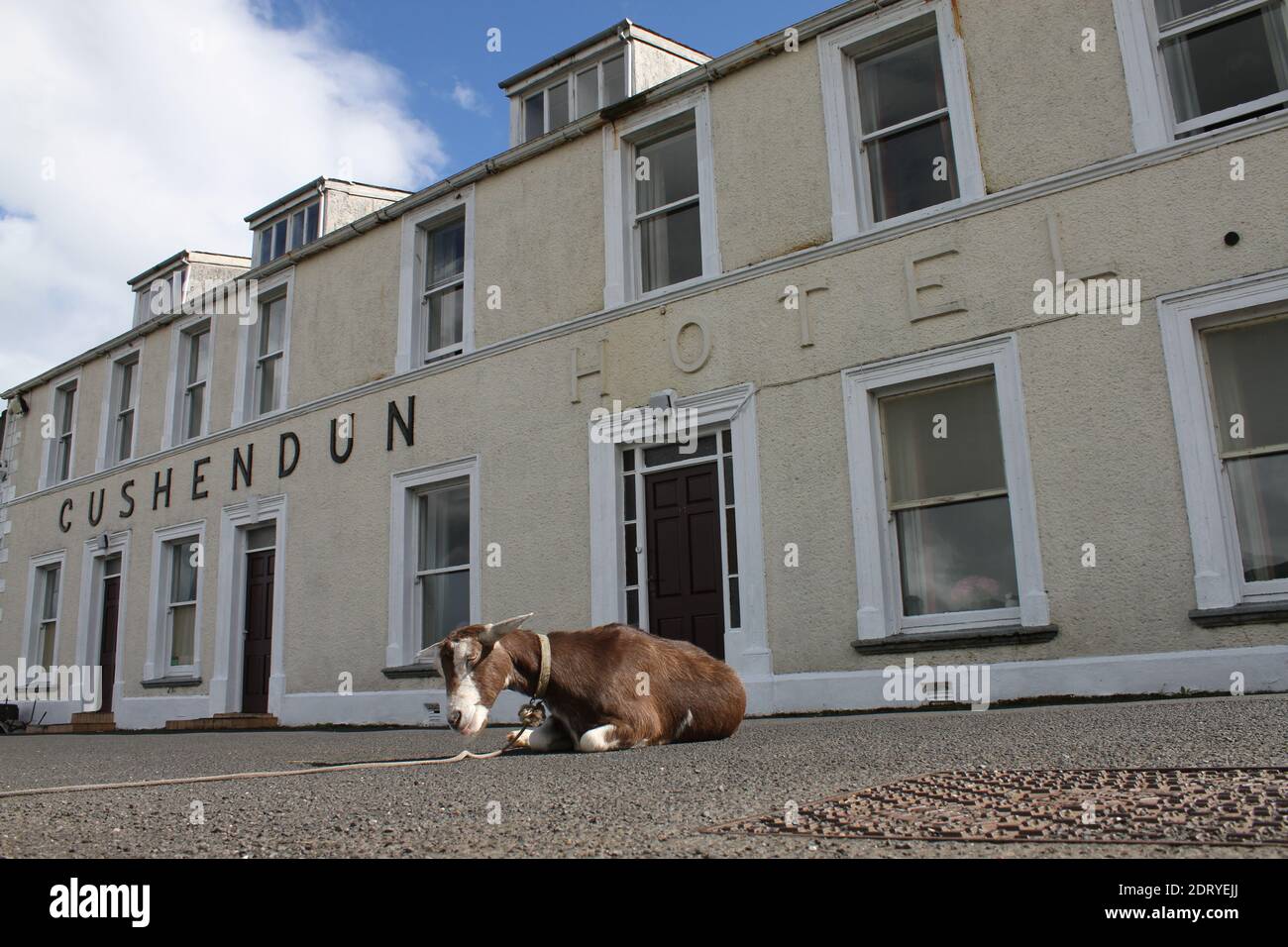 The village Goat lies on the road in front of the old Cushendun Hotel ...