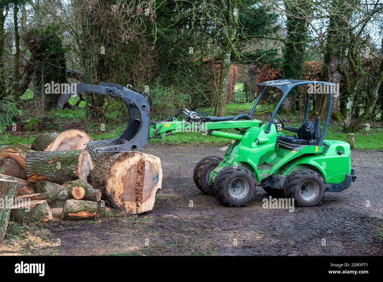Hampshire, England, UK. 2020. Moving sections of an Ash tree with a ...