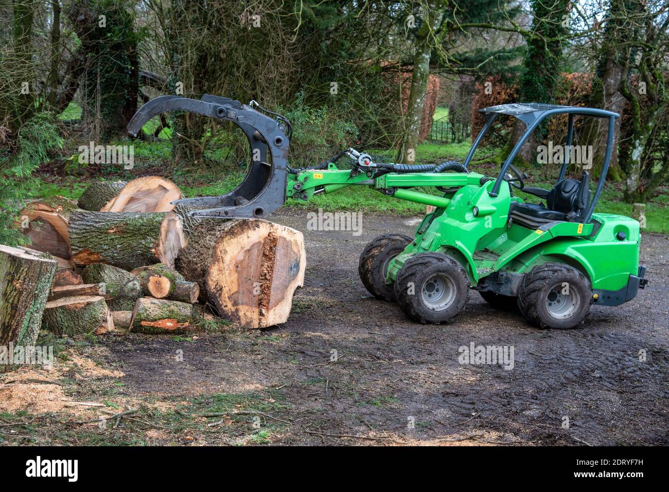 Hampshire, England, UK. 2020. Moving sections of an Ash tree with a ...