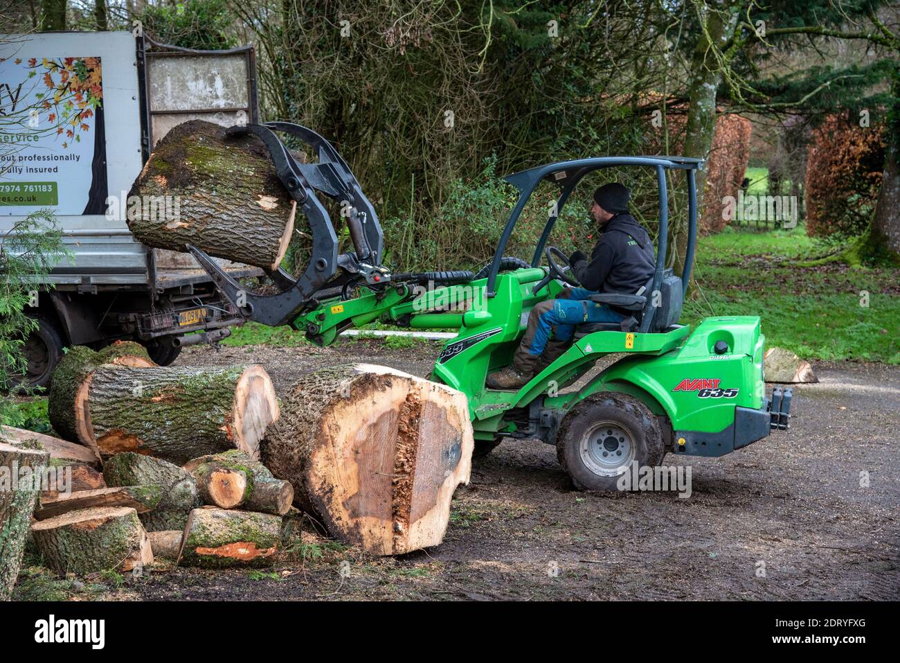 Hampshire, England, UK. 2020. Moving sections of an Ash tree with a ...