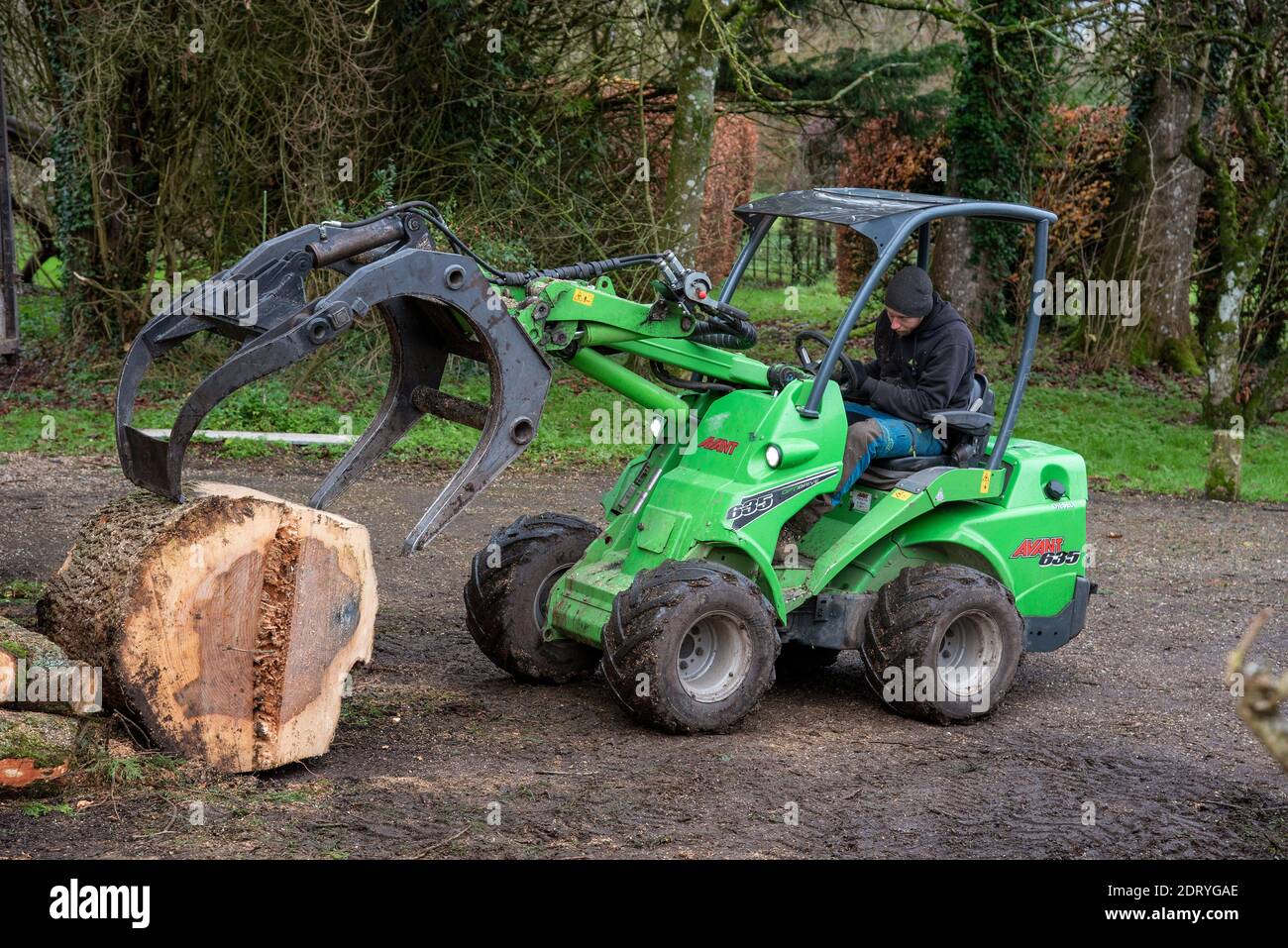 Hampshire, England, UK. 2020. Moving sections of an Ash tree with a ...