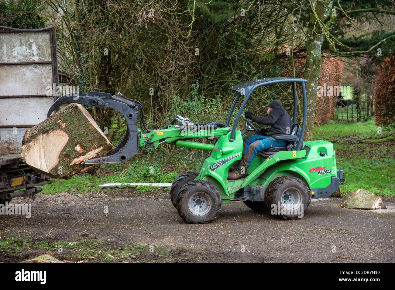 Hampshire, England, UK. 2020. Moving sections of an Ash tree with a ...