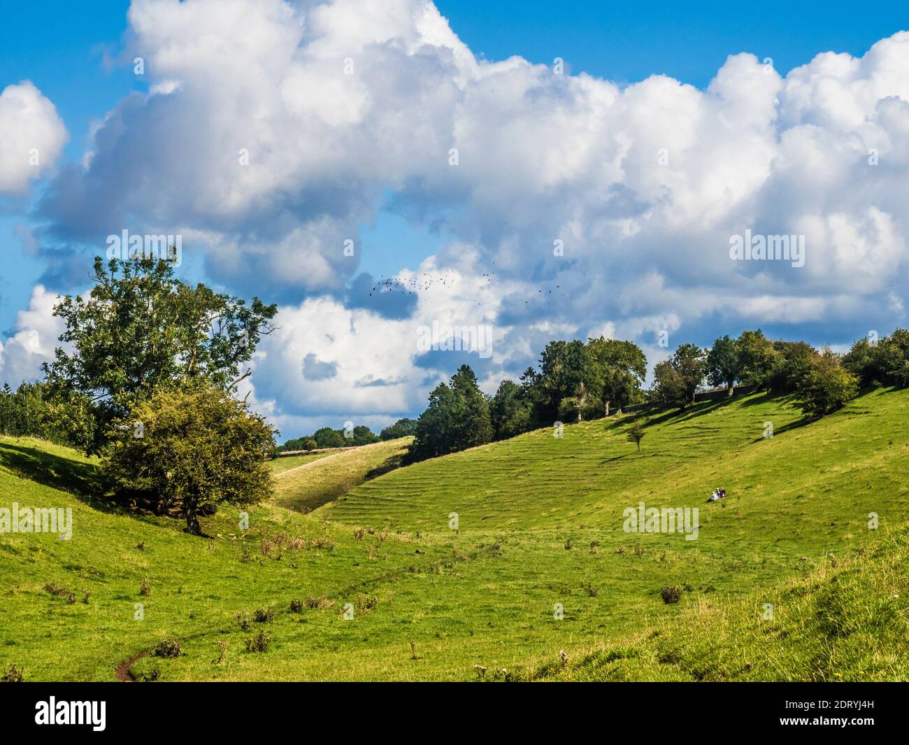 Rolling summer countryside in the Gloucestershire Cotswolds Stock Photo ...