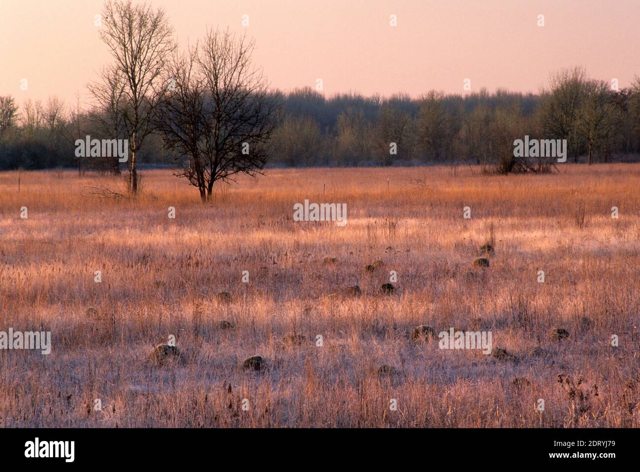 Native grassland prairie, William Finley National Wildlife Refuge ...