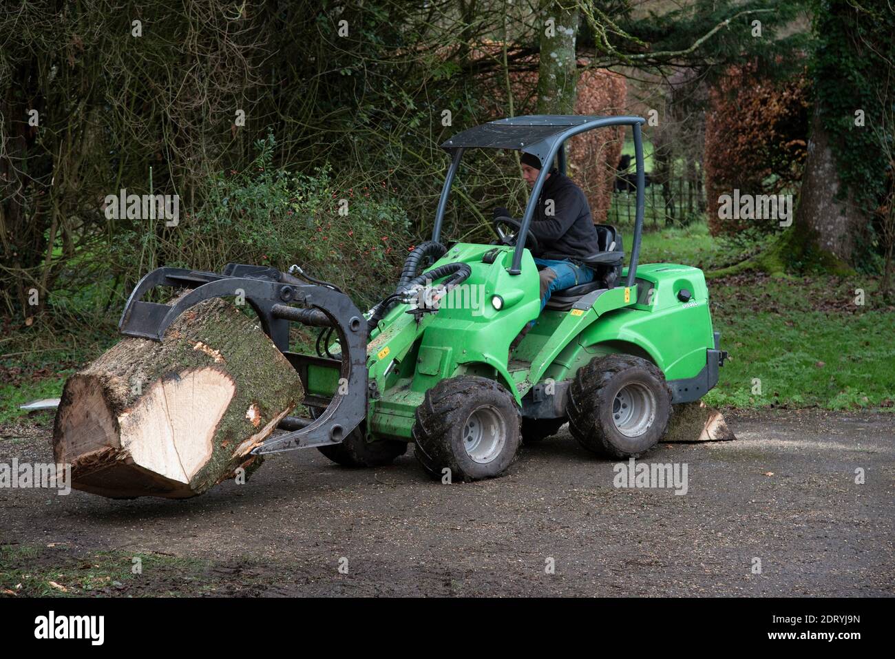 Hampshire, England, UK. 2020. Moving sections of an Ash tree with a ...