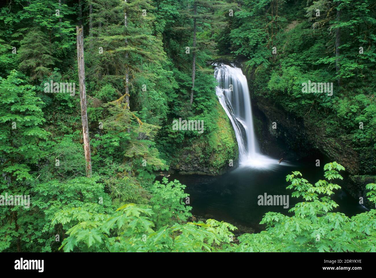 Butte falls hi-res stock photography and images - Alamy