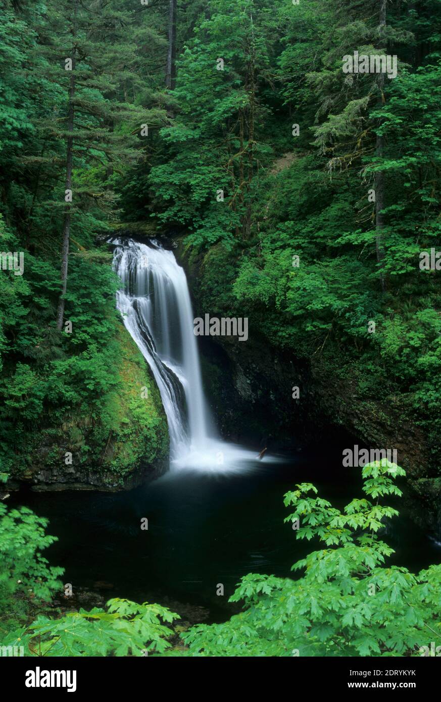 Butte falls hi-res stock photography and images - Alamy
