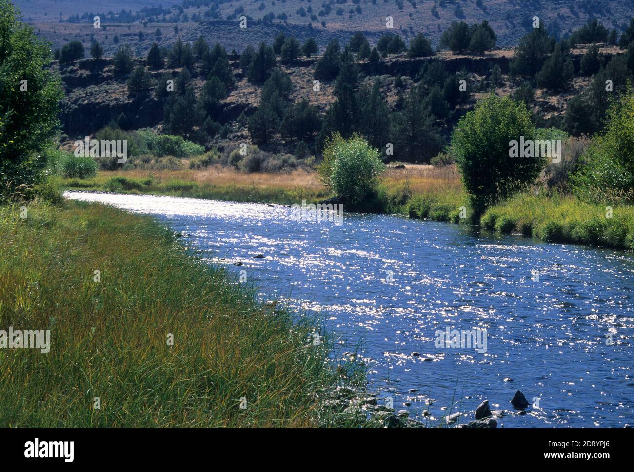 Donner und Blitzen Wild & Scenic River, Steens Mountain Recreation Area ...