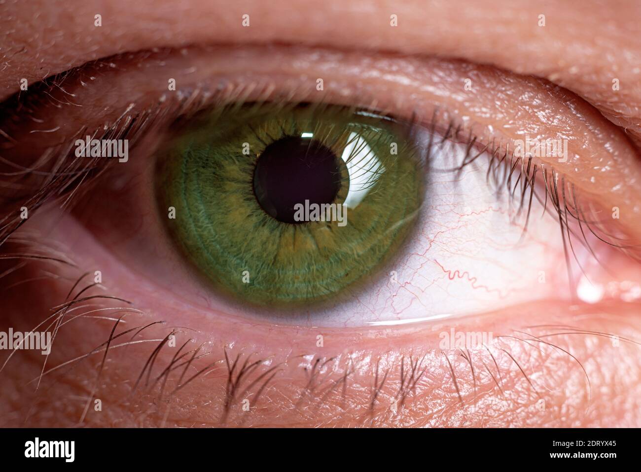 Green human eye close up Stock Photo - Alamy