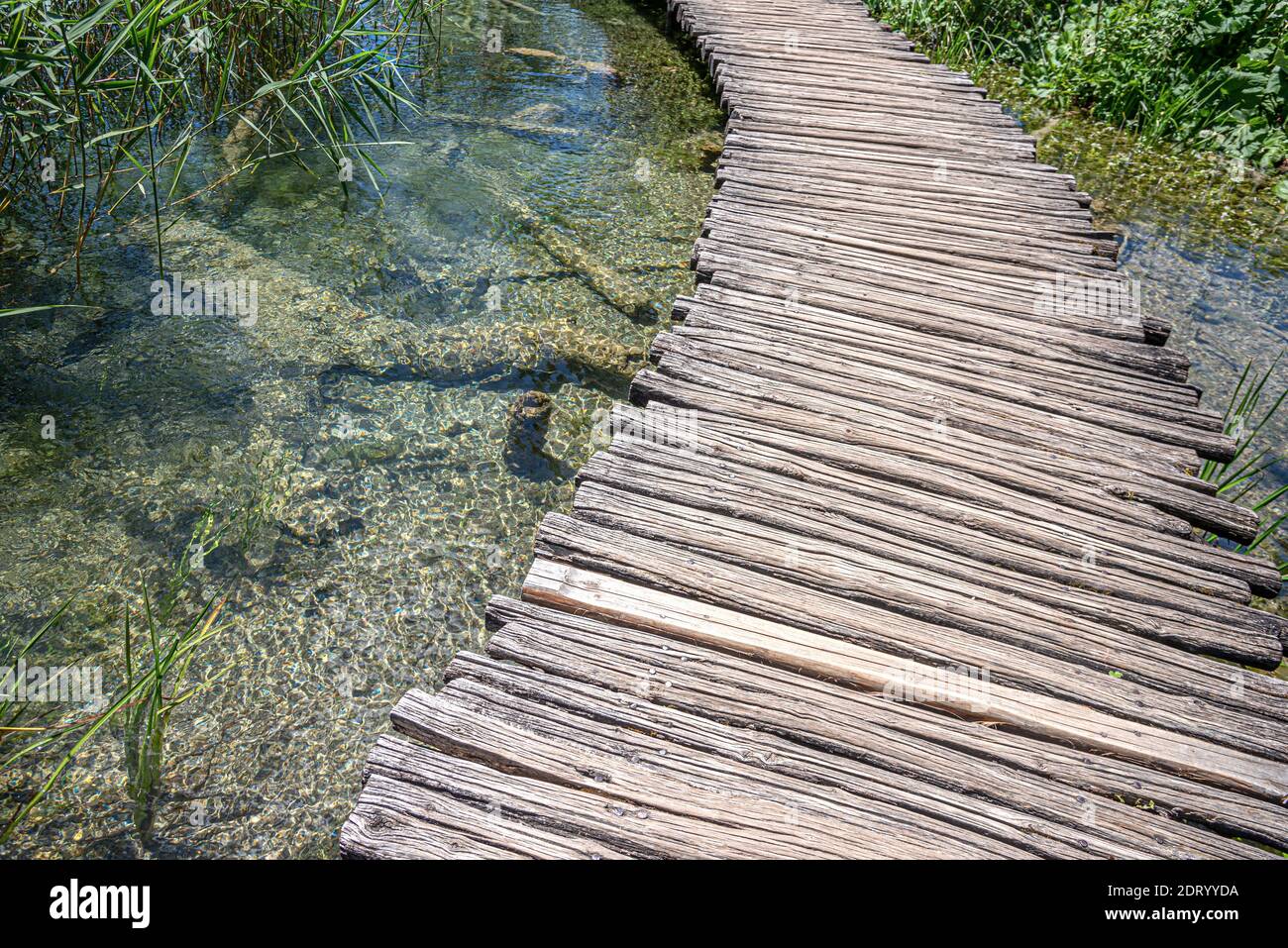 A path made of wooden boards among the lake and forest Stock Photo - Alamy