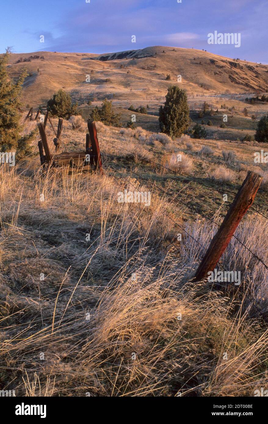 Ranchland fence near OR218, Journey through Time National Scenic Byway ...