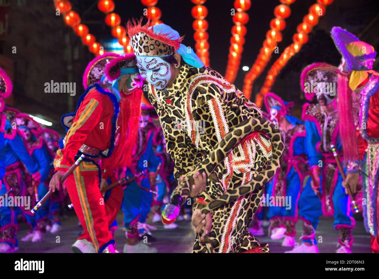 Animal performers hi-res stock photography and images - Alamy