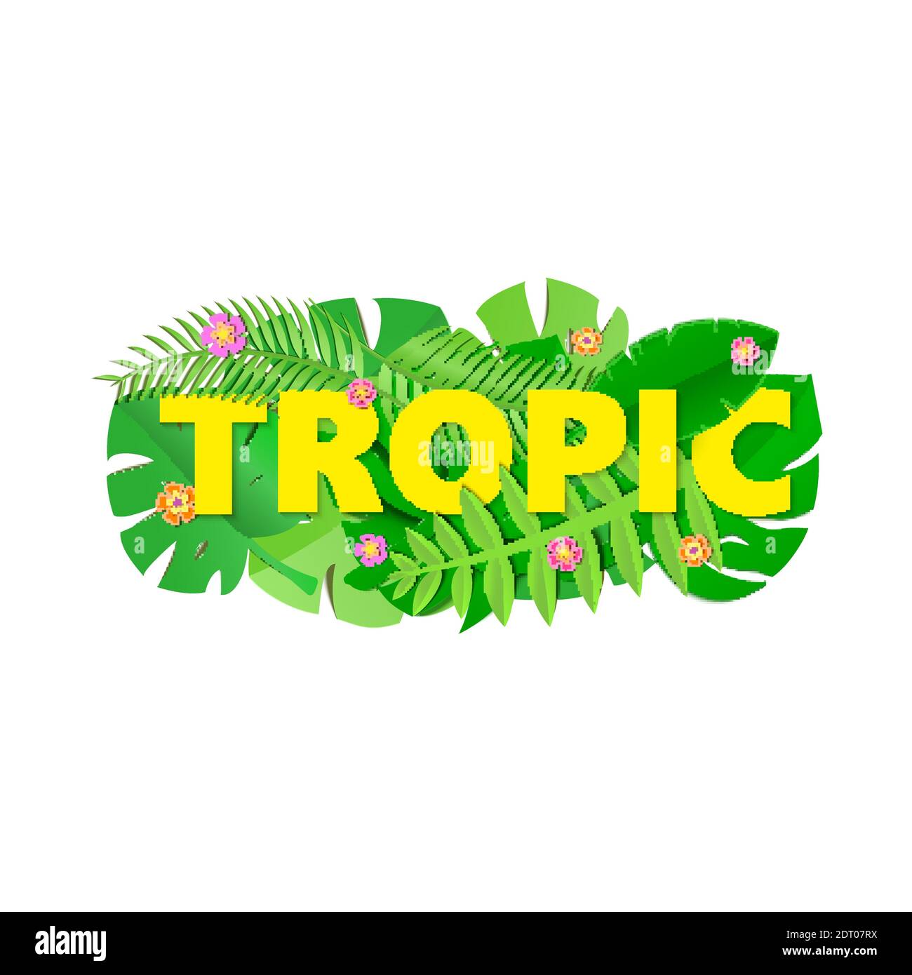 Word TROPIC composition with green jungle leaves and flowers on white ...