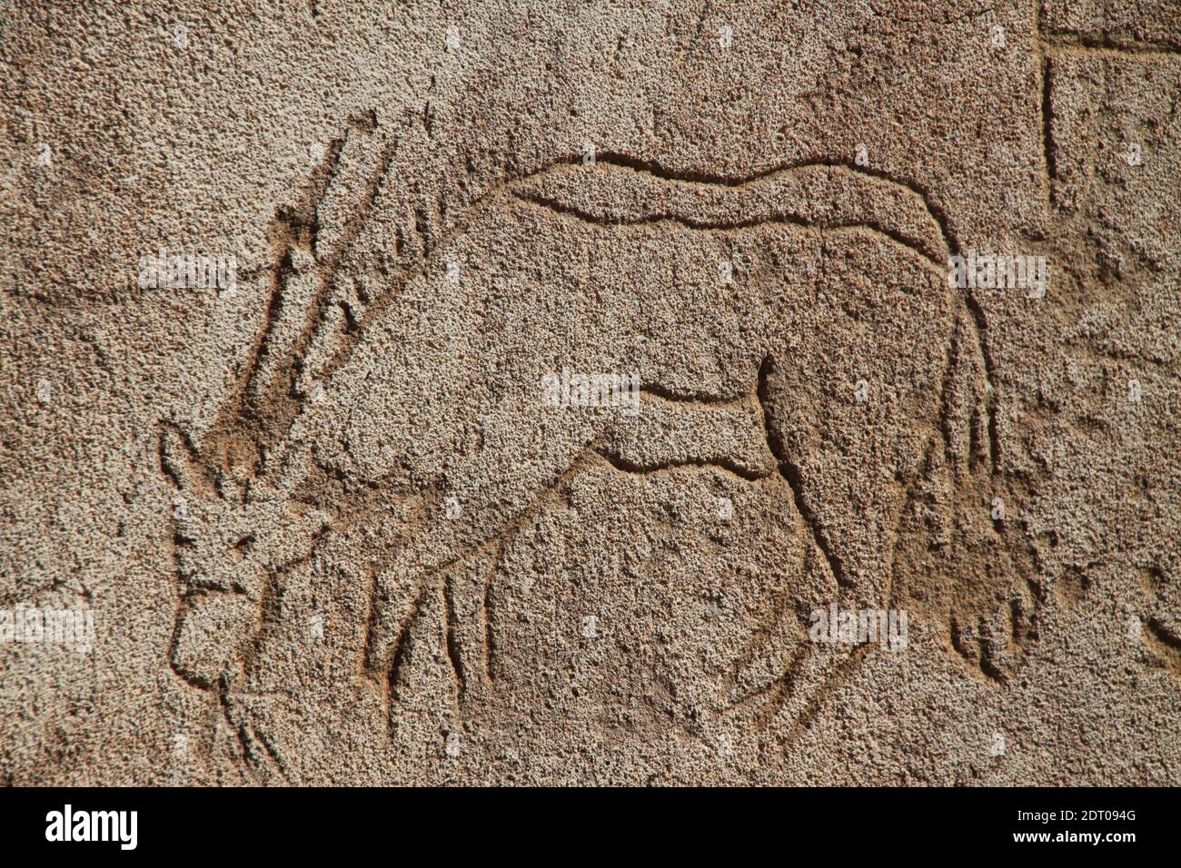 Prehistoric antelope hi-res stock photography and images - Alamy