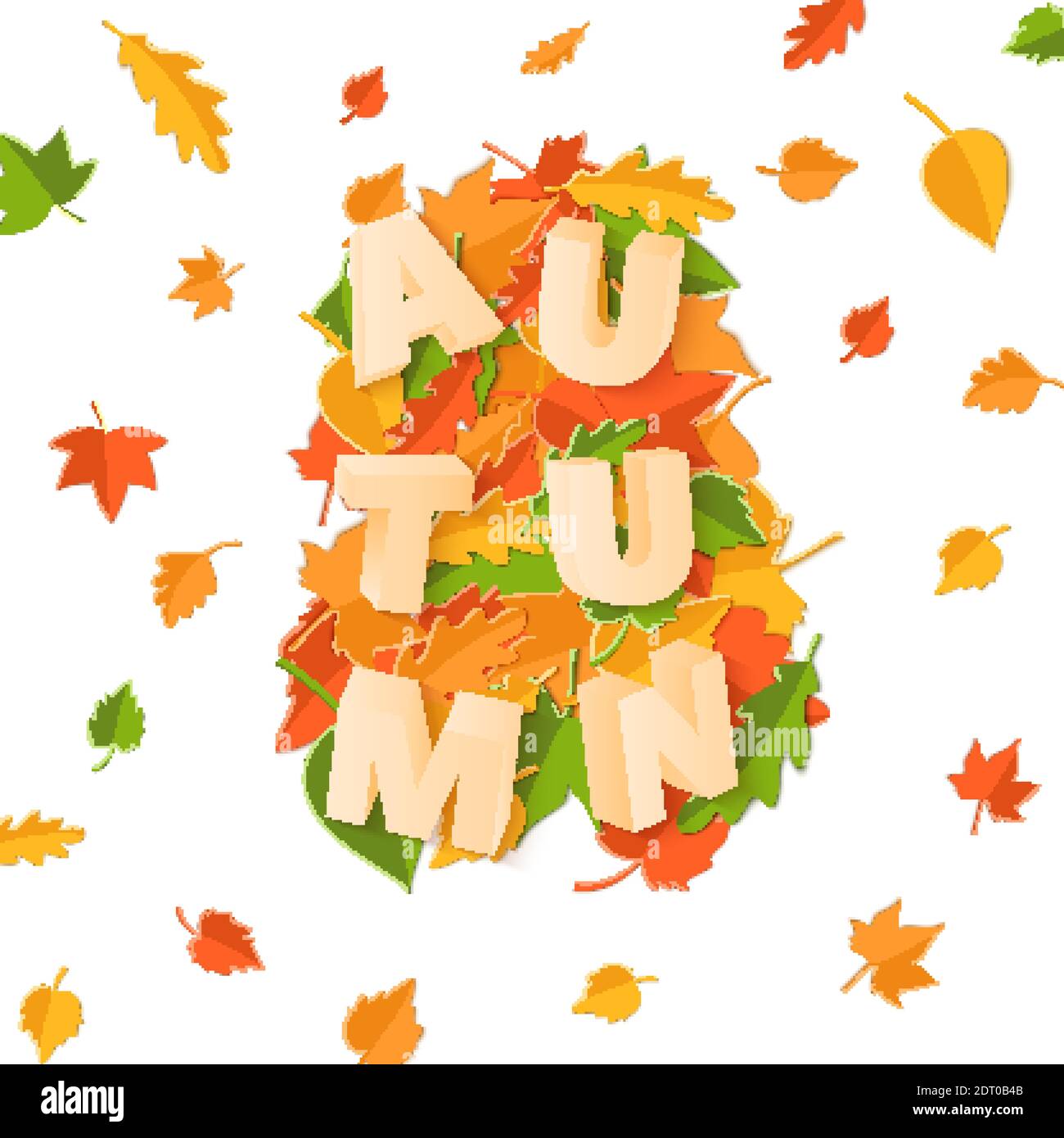 Word AUTUMN composition with green yellow red leaves on white ...