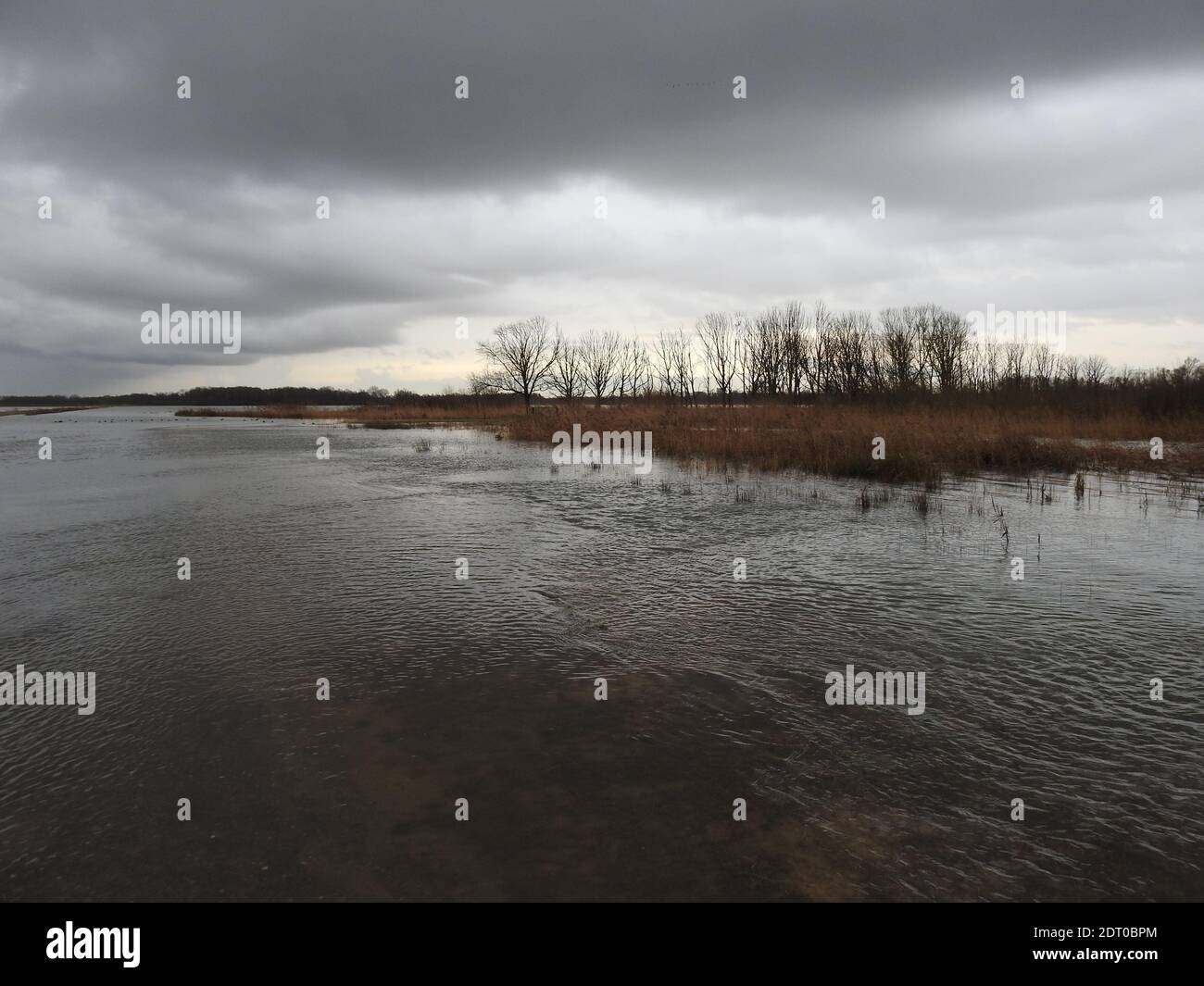 A river in Biesbosch National Park under a gloomy and cloudy sky Stock ...