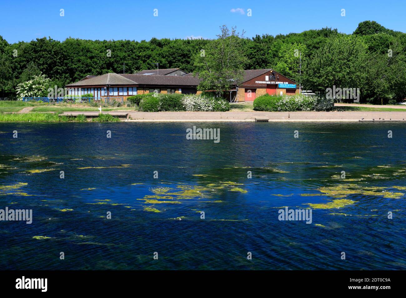 The rowing lake at Thorpe Meadows, Peterborough city, Cambridgeshire ...