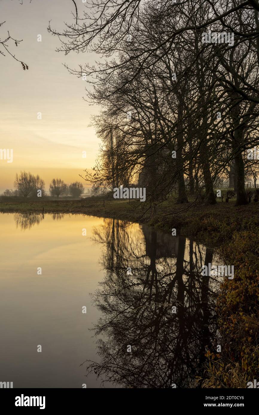 Orange glow in a swamp land landscape with trees and remains of ...