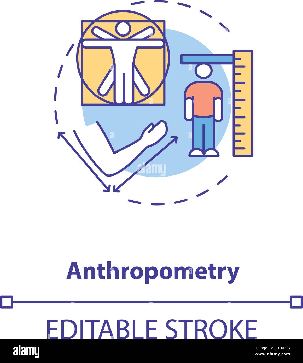 Anthropometry concept icon Stock Vector Image & Art - Alamy