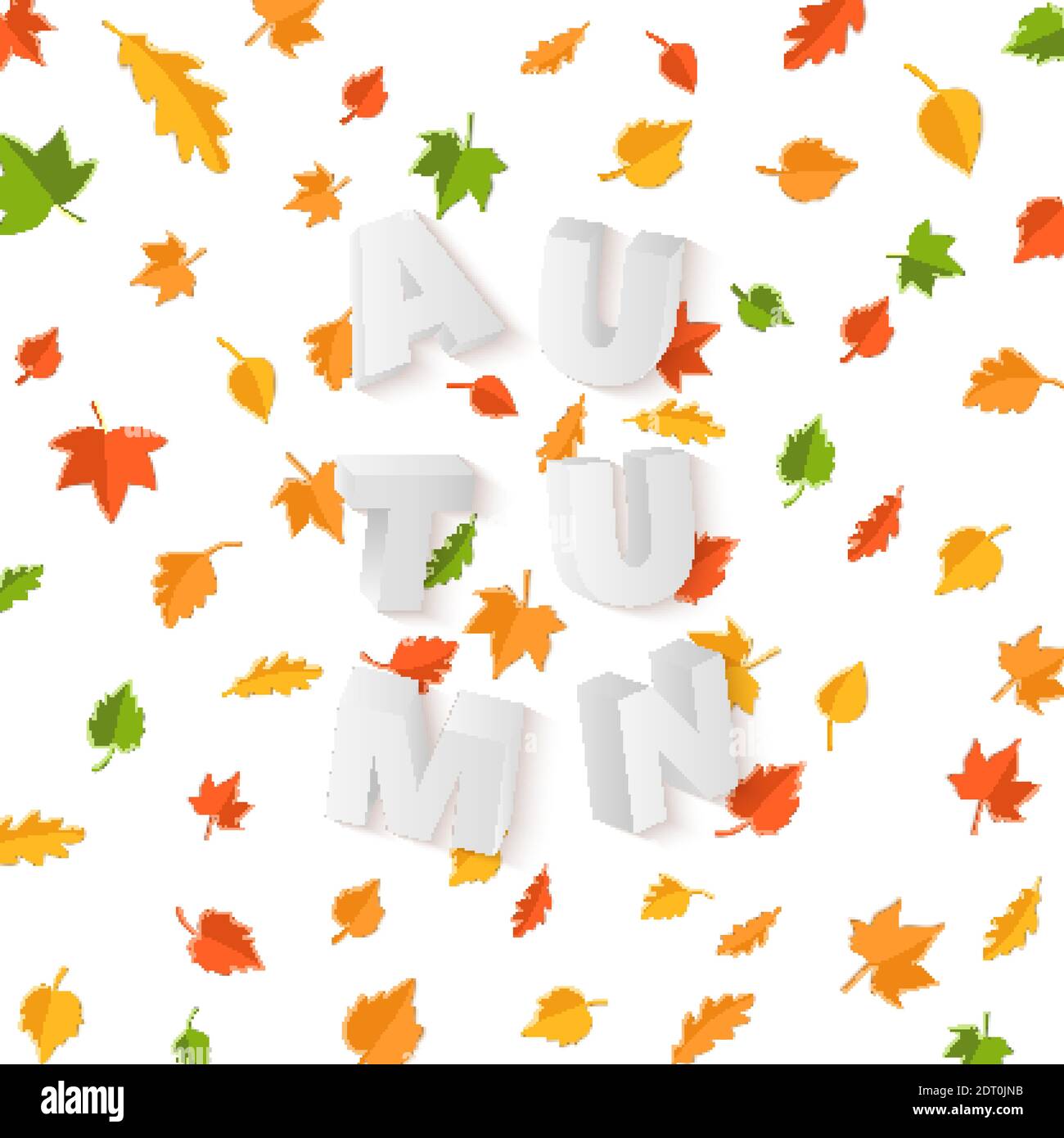 Word AUTUMN composition with green yellow red leaves on white ...