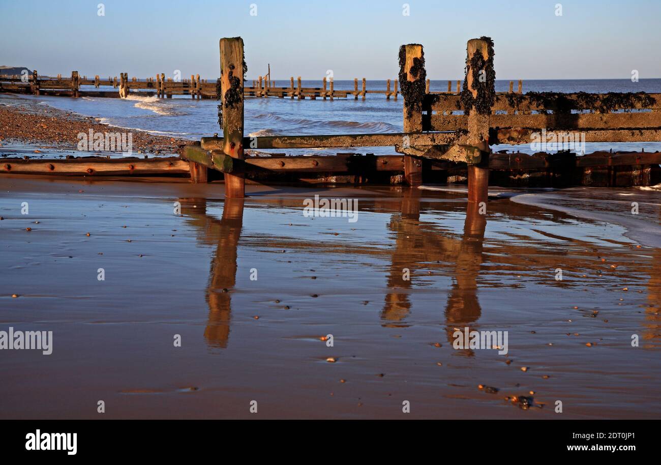 Timber technology hi-res stock photography and images - Alamy