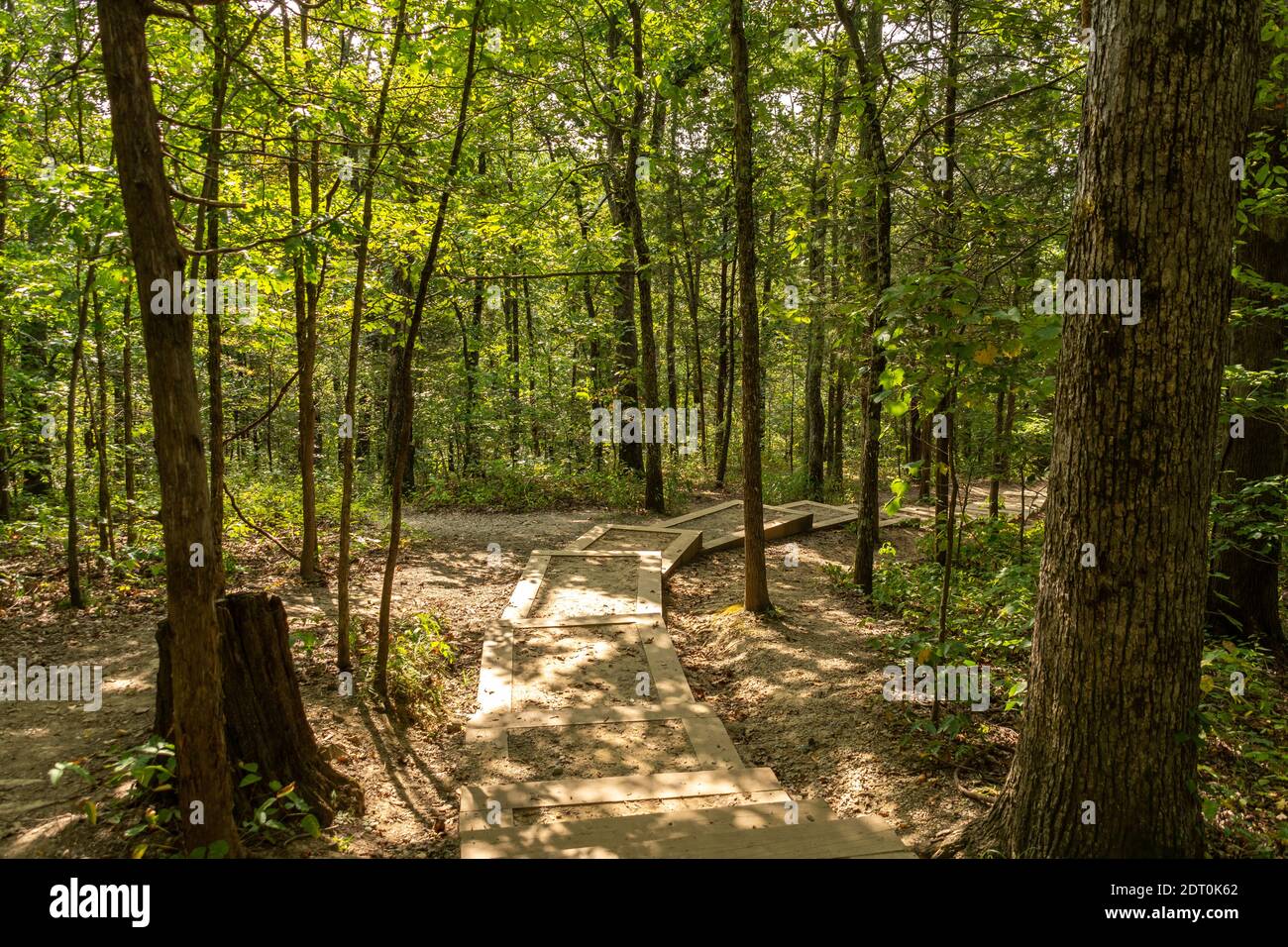 Steps along the hiking trail towards bell Smith Springs. Shawnee ...