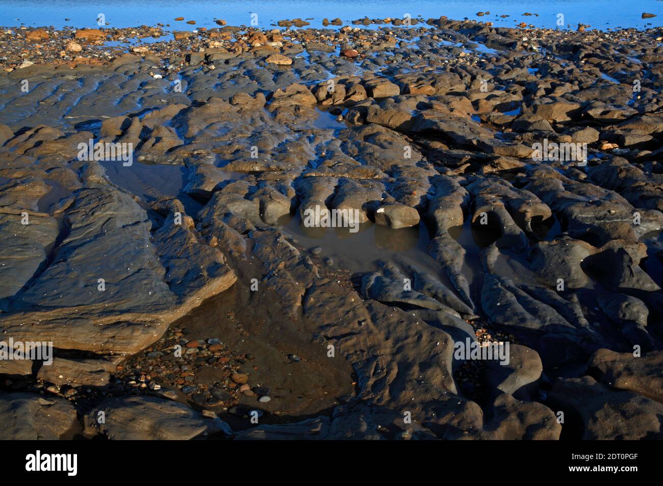 A view of Happisburgh Till revealed on the beach by tidal scour in ...