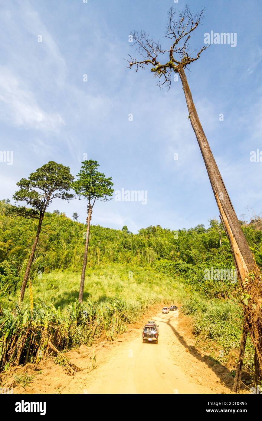 Tak car hi-res stock photography and images - Alamy