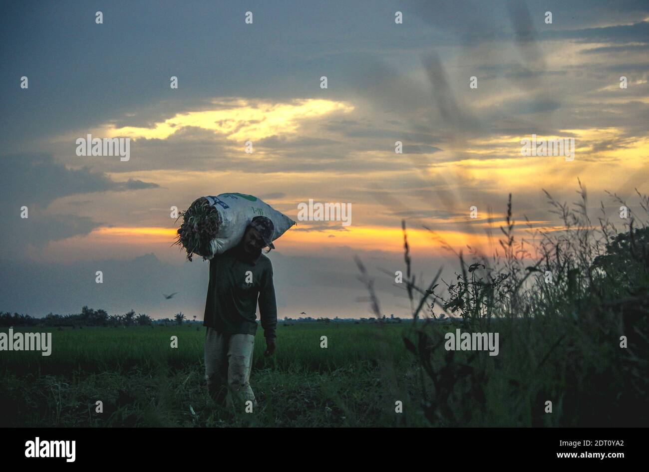 Indian man carrying sack hi-res stock photography and images - Alamy