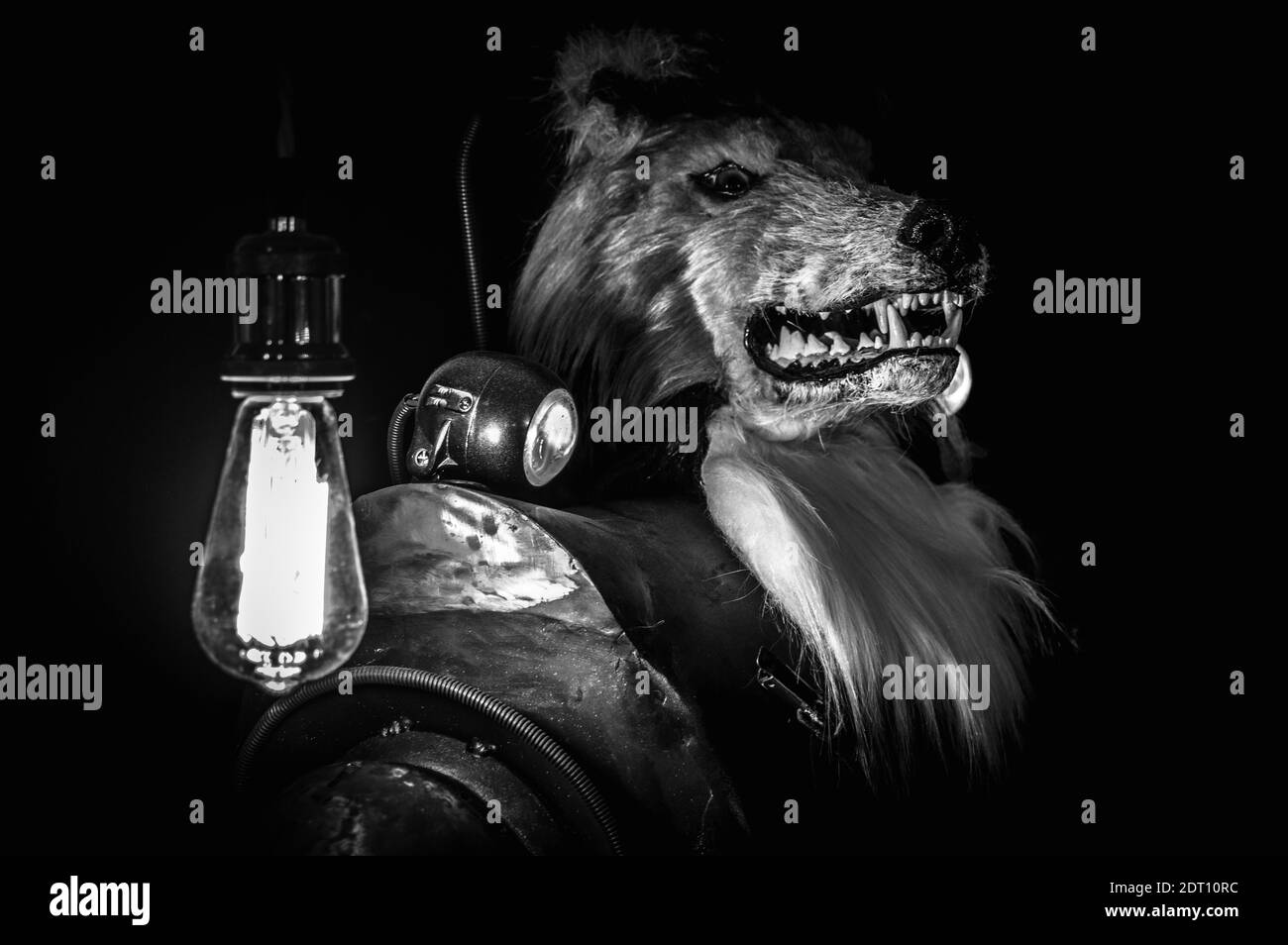 Cyber wolf from space in the dark. Black and white Stock Photo - Alamy