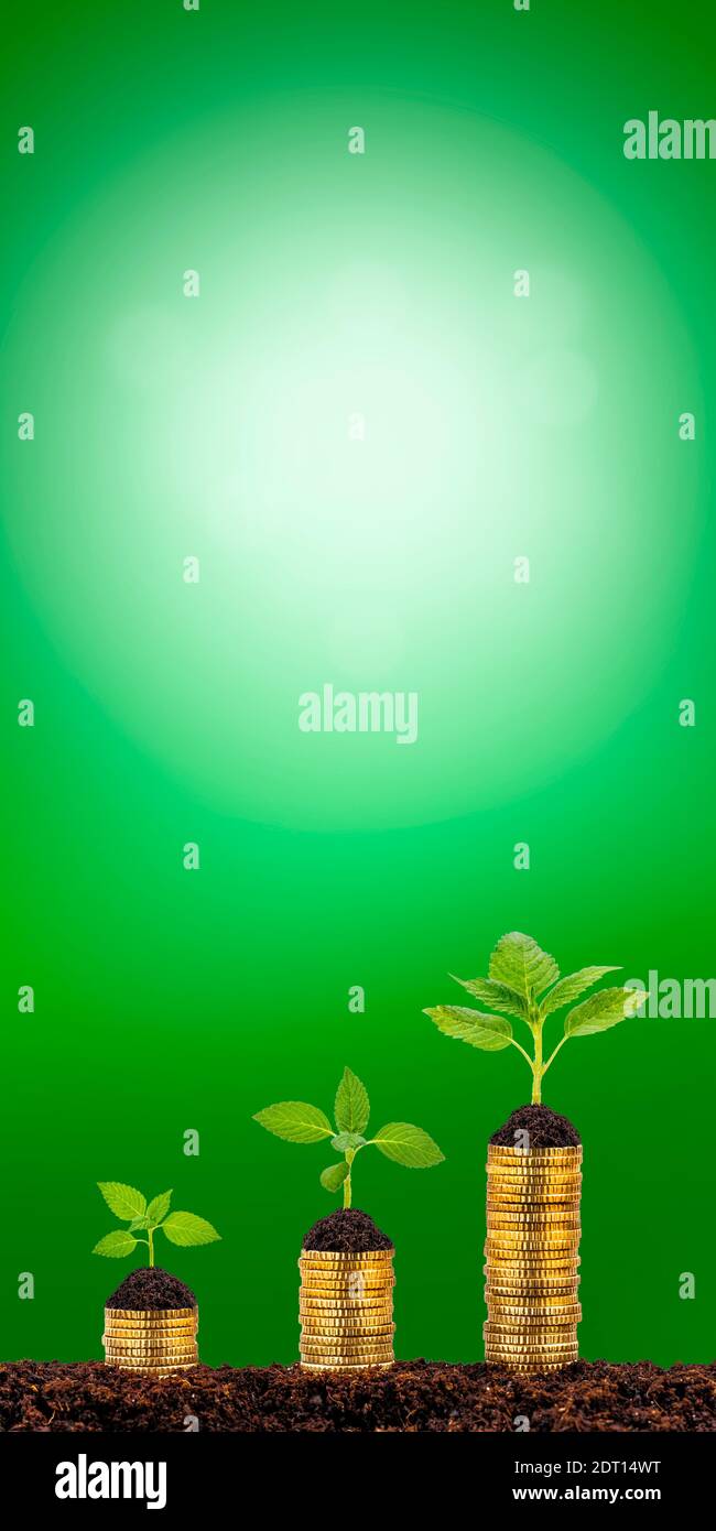 growing plants on stacked coins shows financial success Stock Photo - Alamy