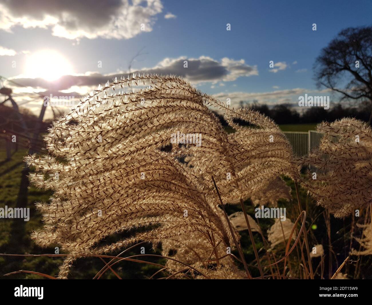 Hackbridge High Resolution Stock Photography and Images - Alamy