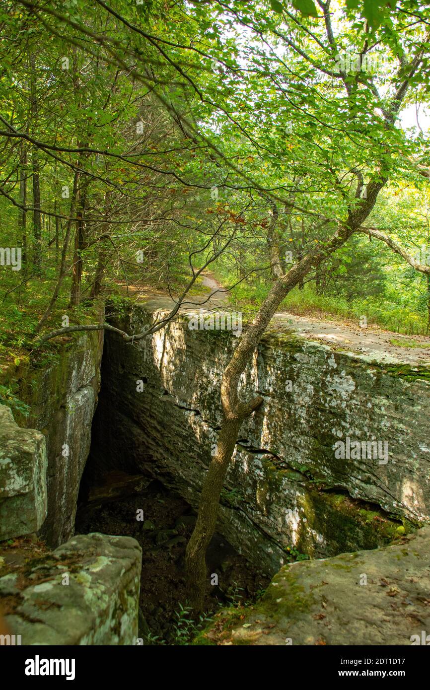 Natural stone bridge on the hiking trail at Bell Smith Springs, Shawnee ...
