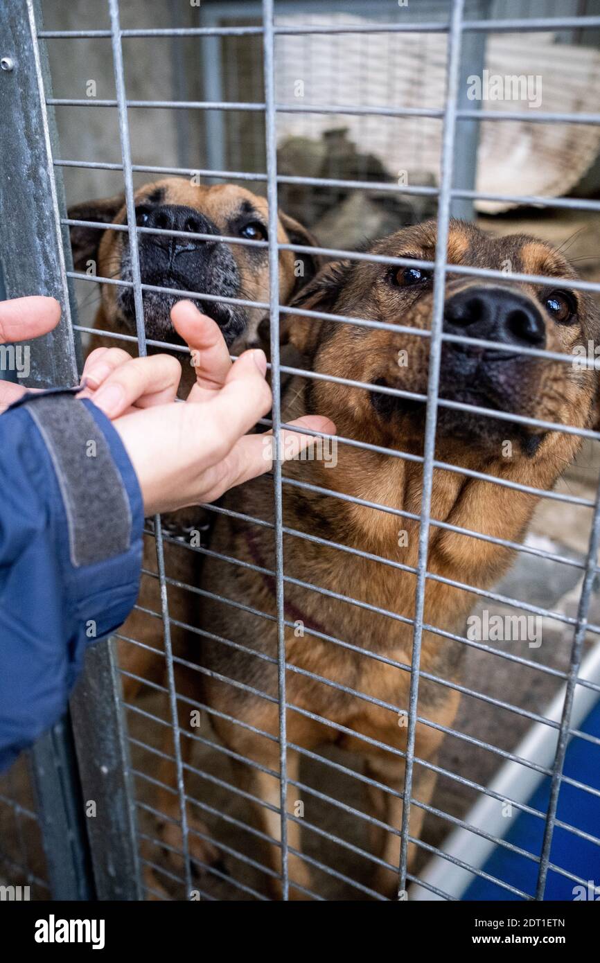 Health centres china hi-res stock photography and images - Alamy